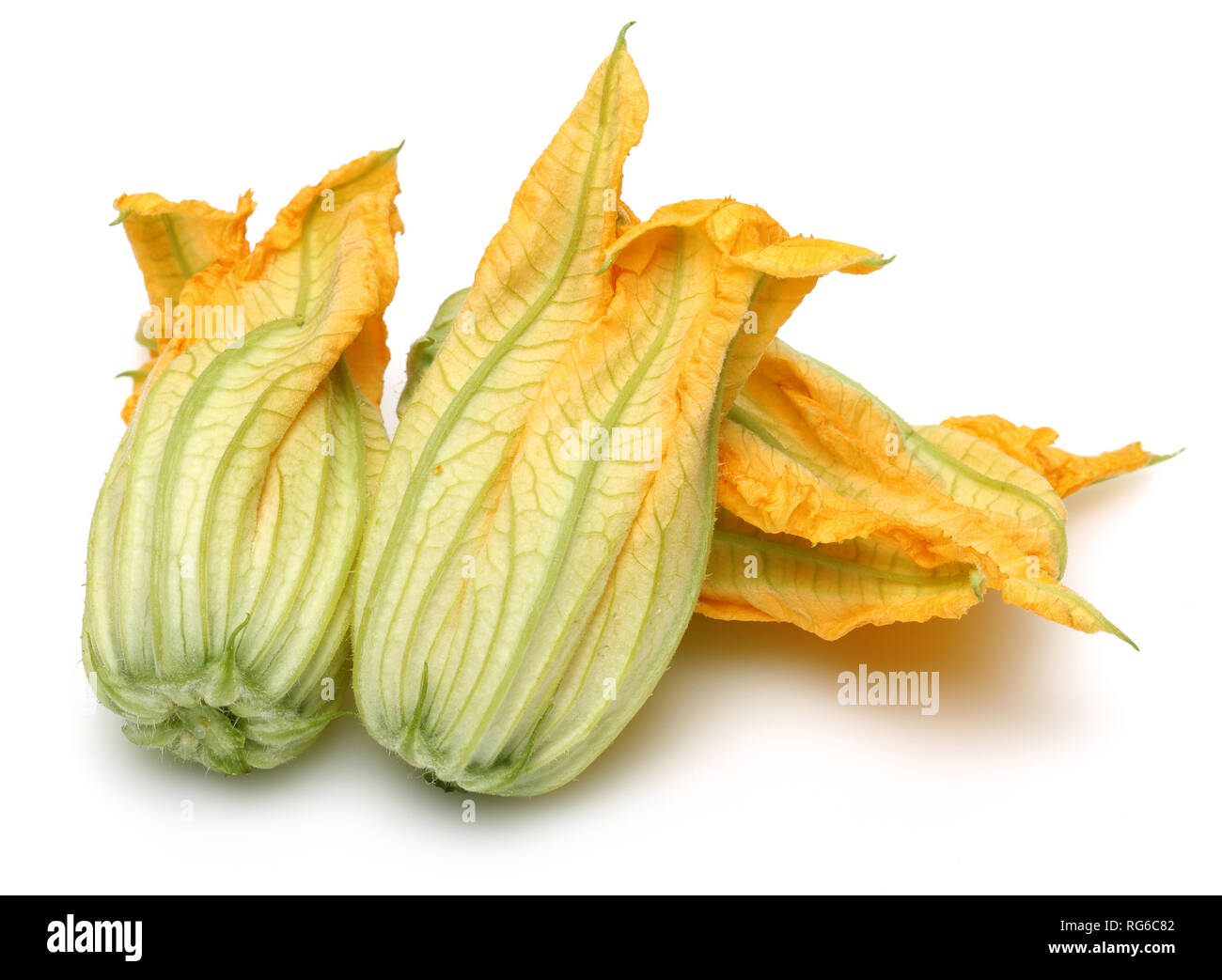 Squash Blossoms isolated on white background Stock Photo - Alamy