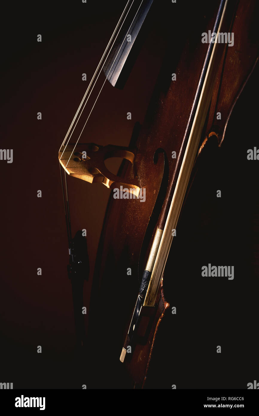 Part of an old dusty cello, details of old wood and strings ...