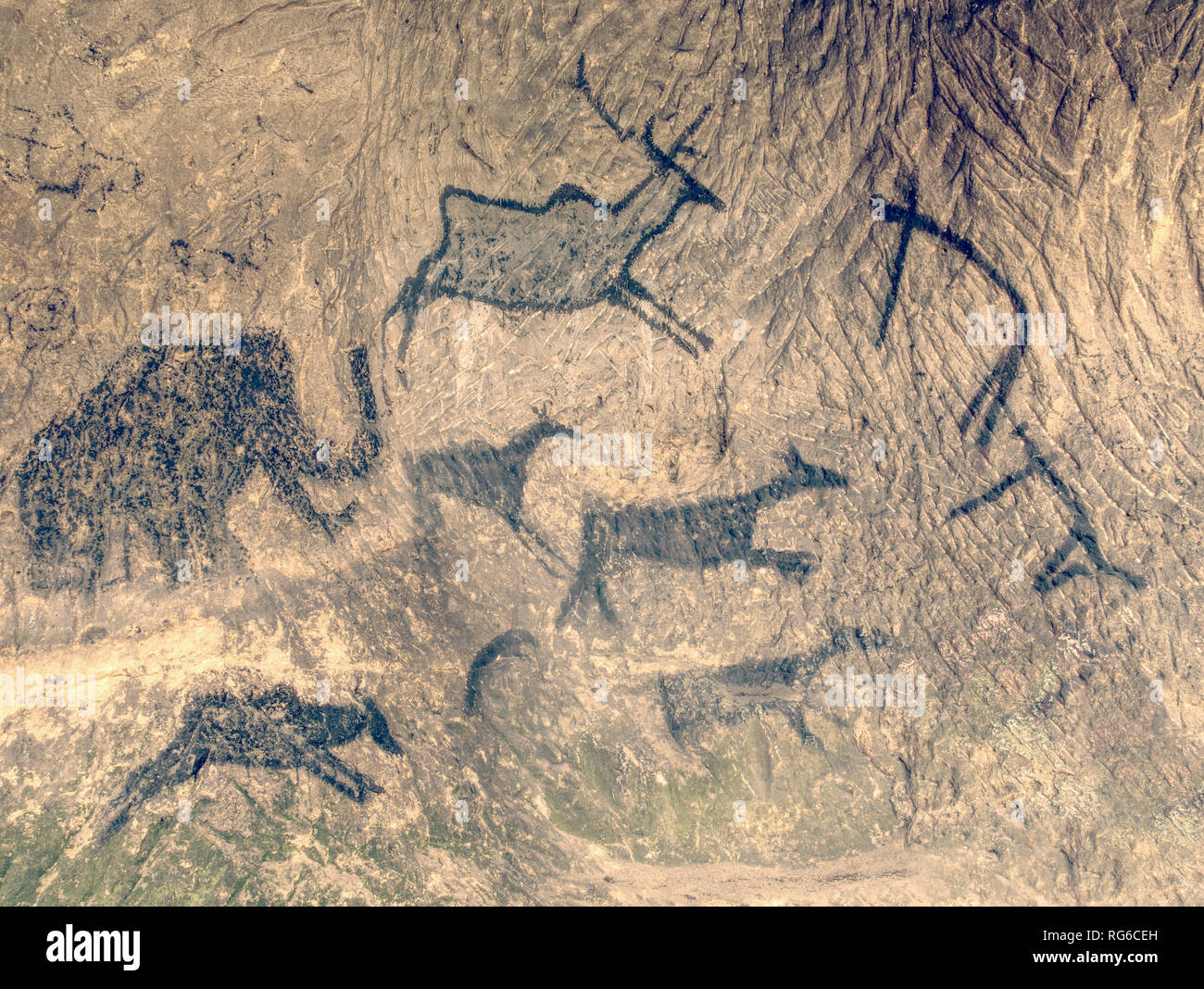 Cave Paintings Deer