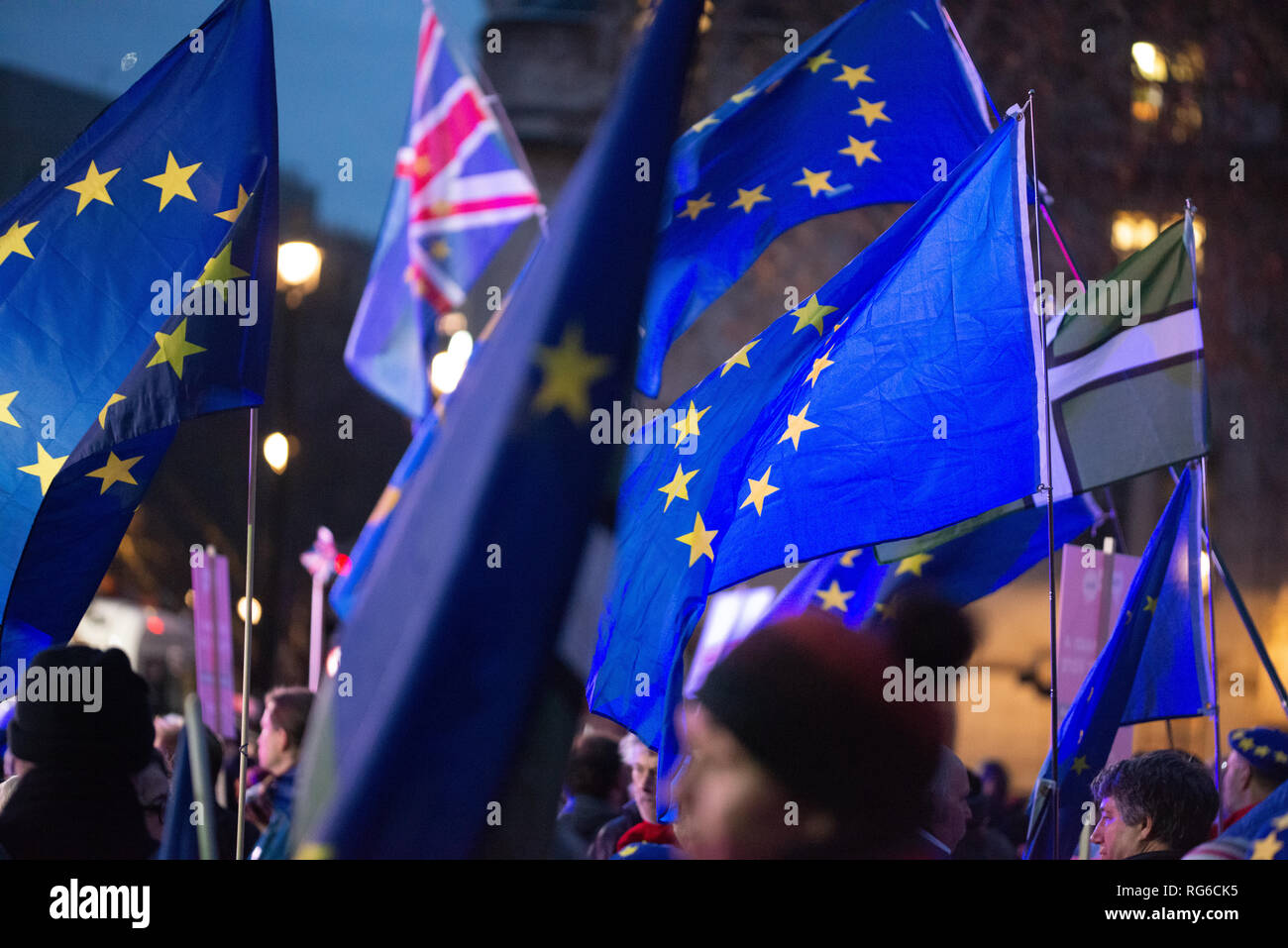 Remain supporters hi-res stock photography and images - Alamy