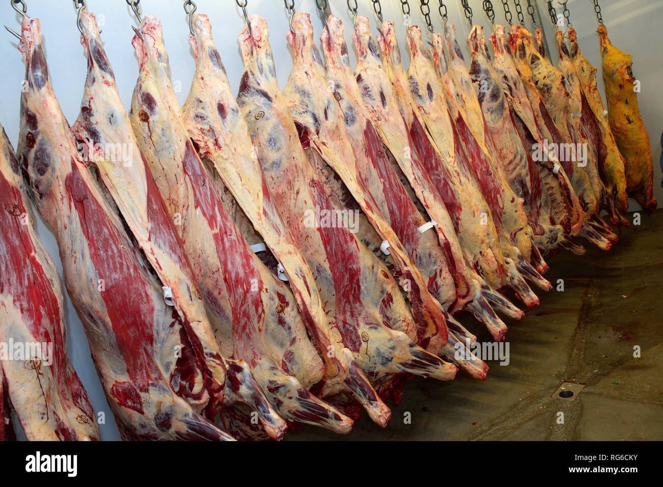 Chill beef hi-res stock photography and images - Alamy