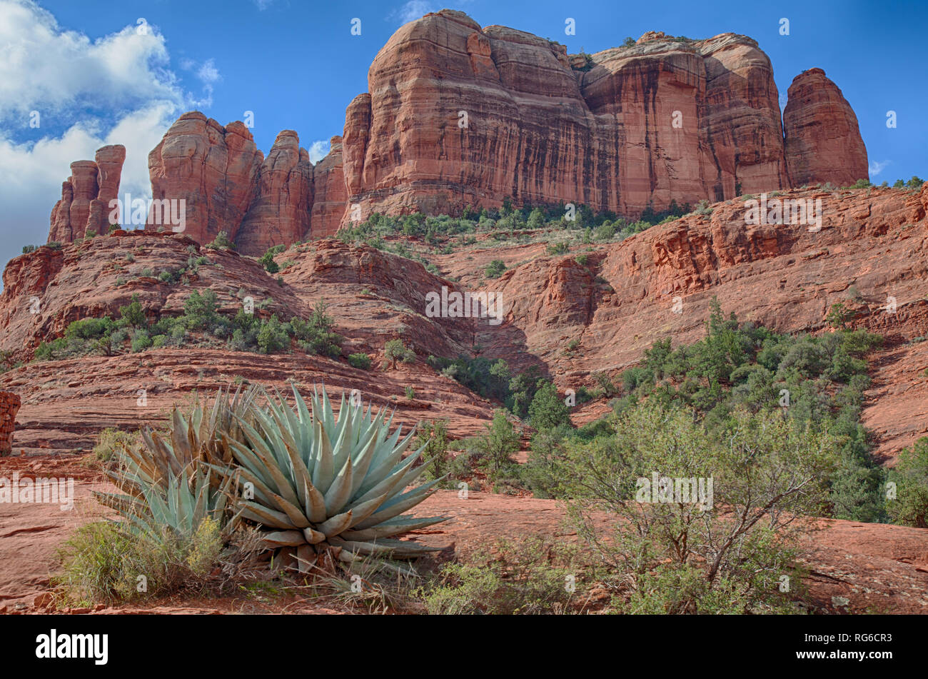view of Cathedral Rock in Sedona Arizona Stock Photo - Alamy