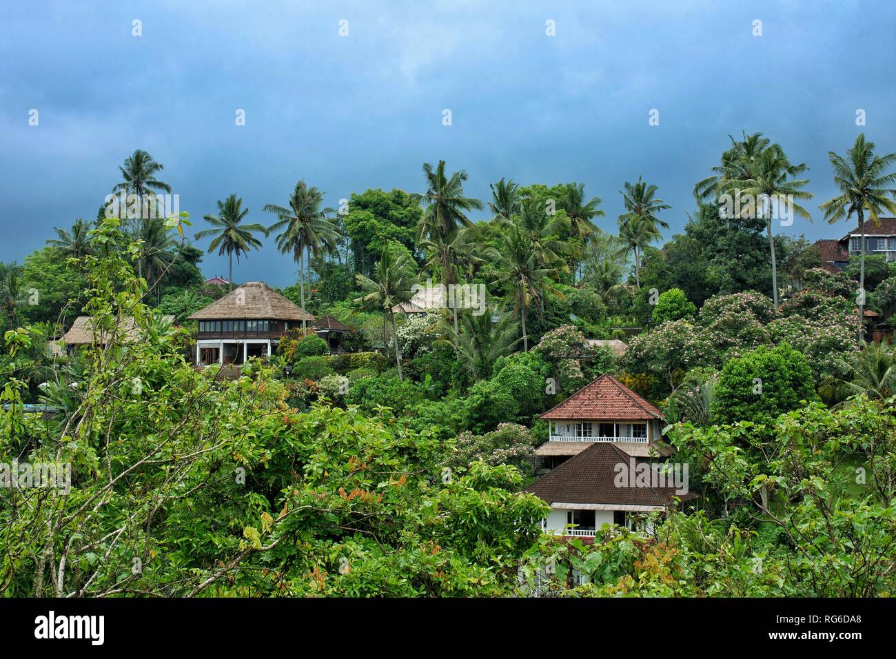 Campuhan Ridge Walk in Ubud, Bali Stock Photo - Alamy
