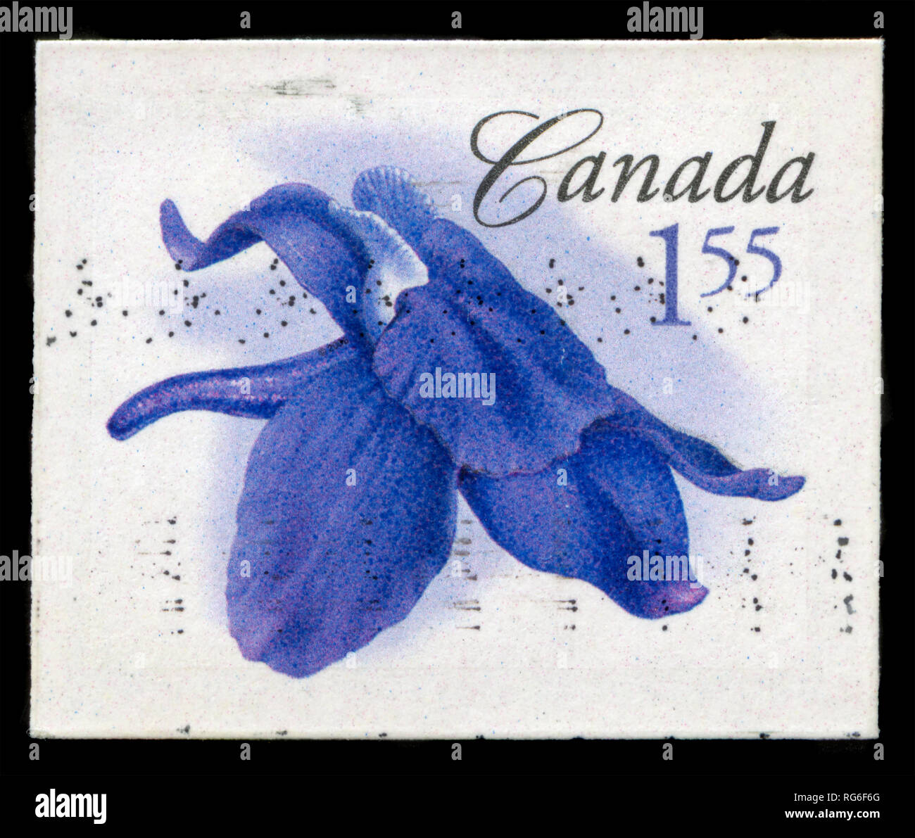 Postage stamp from Canada in the Flower Definitives (2nd series) issued ...