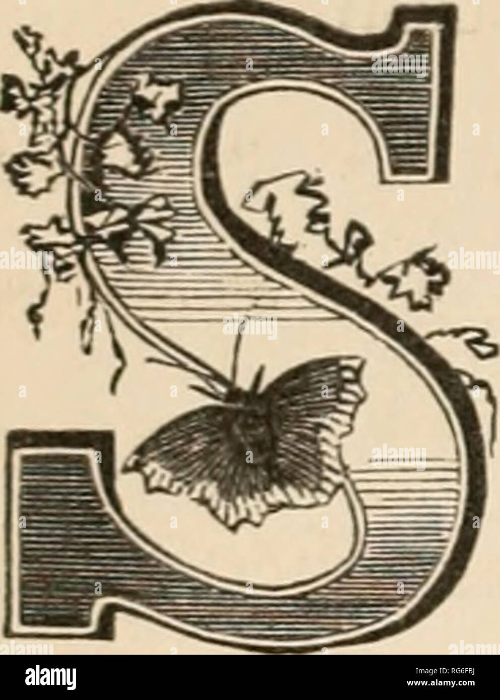 Johnny webb hi-res stock photography and images - Alamy