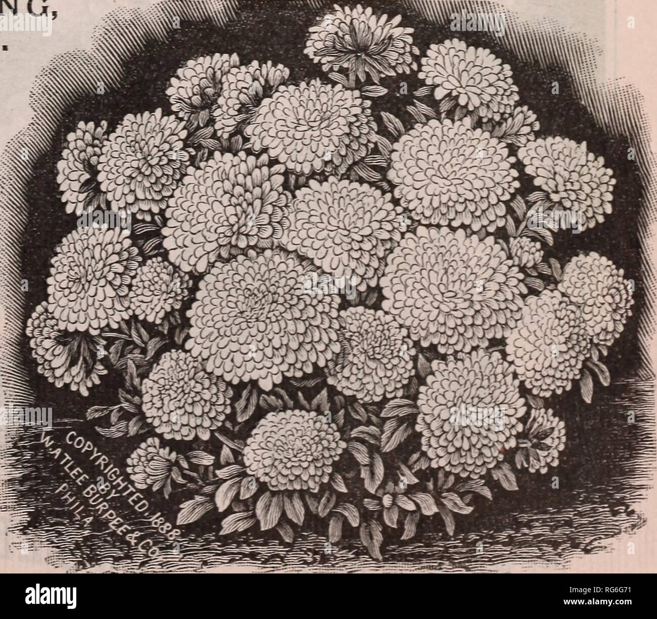 Resembling pyramids hi-res stock photography and images - Alamy