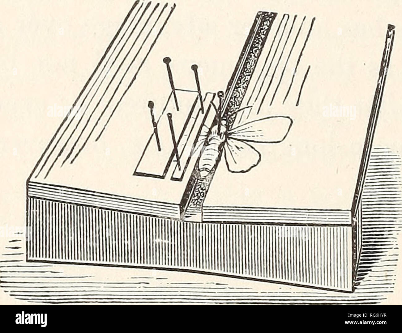 Thumb on the scales hi-res stock photography and images - Alamy