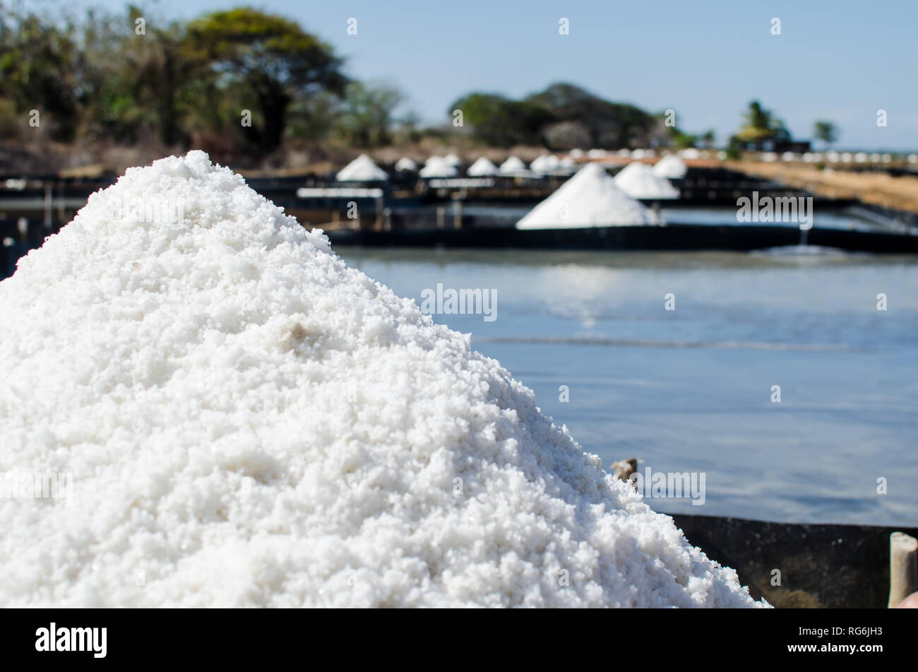 Sal de mar panamá hi-res stock photography and images - Alamy