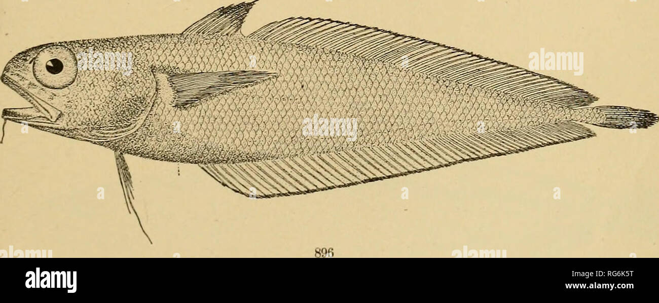 2547 v hi-res stock photography and images - Alamy