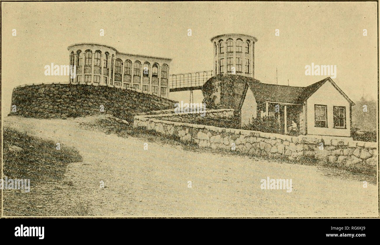 Ol bear hi-res stock photography and images - Alamy