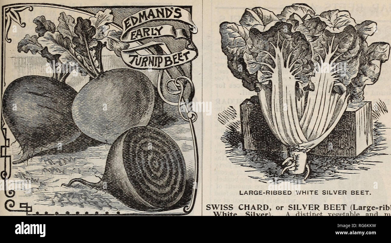 Burpees farm annual best seeds hi-res stock photography and images - Alamy