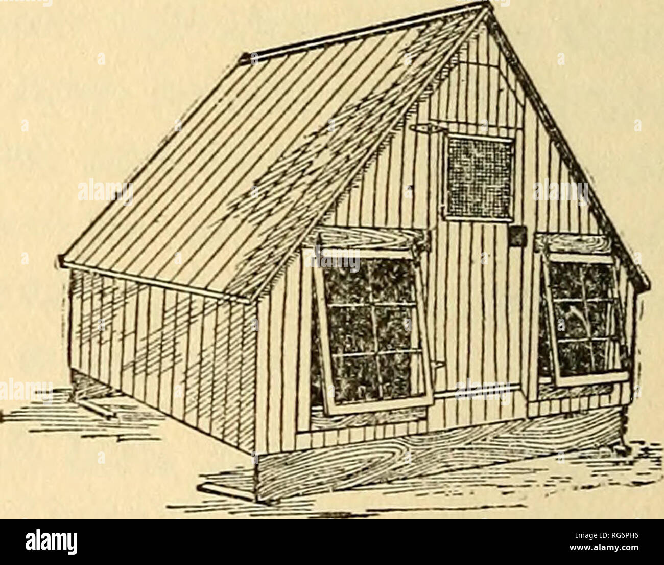 . The business hen (the latest hatch). Poultry. SMALL OUTDOOR BROODER ...