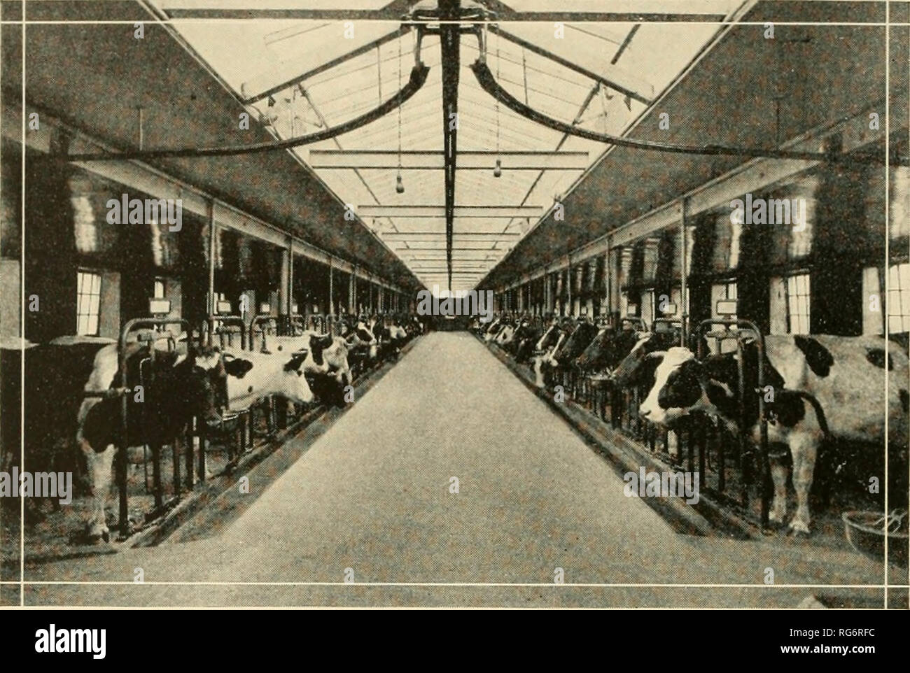 Indian one hun hi-res stock photography and images - Alamy