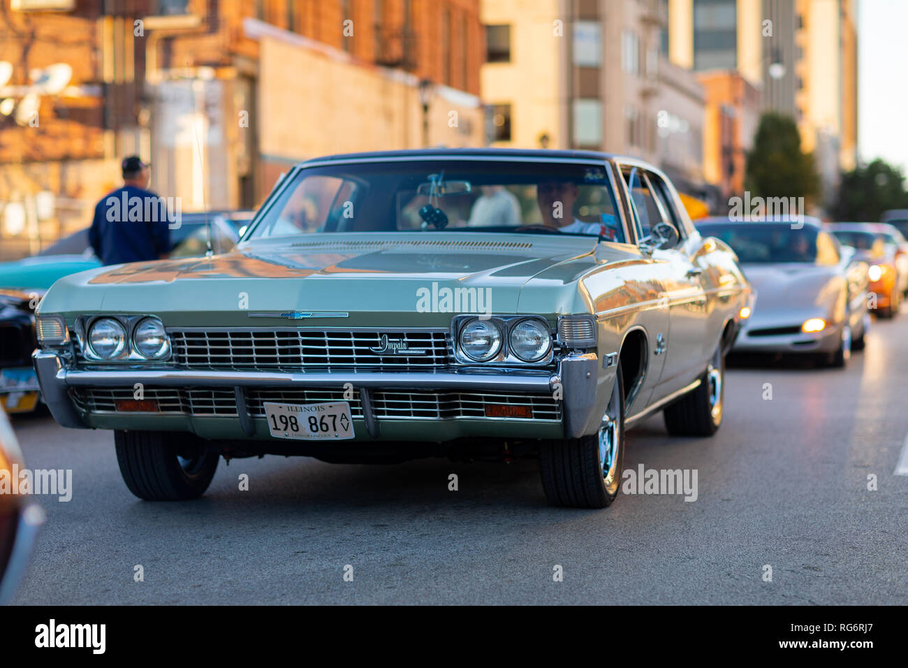 Impala On The Road High Resolution Stock Photography and Images - Alamy