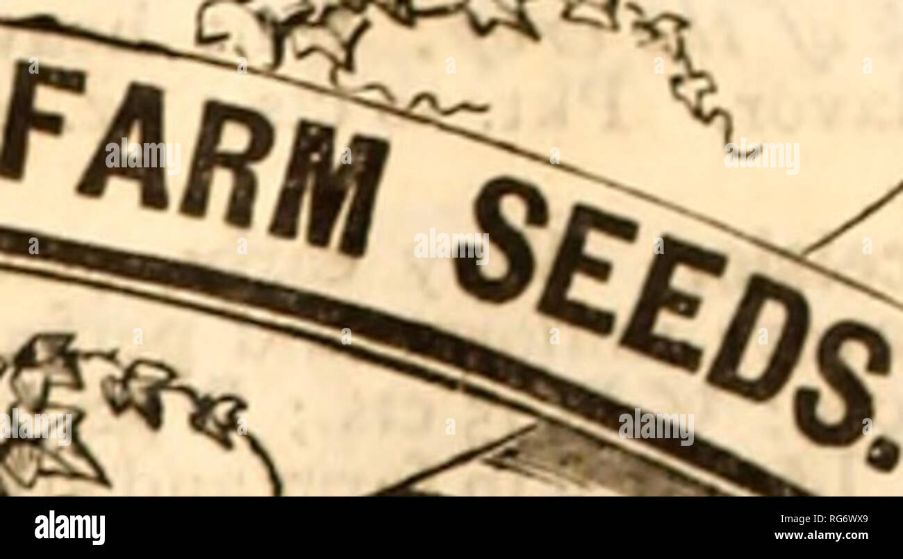 Burpees farm annual garden farm hi-res stock photography and images - Alamy