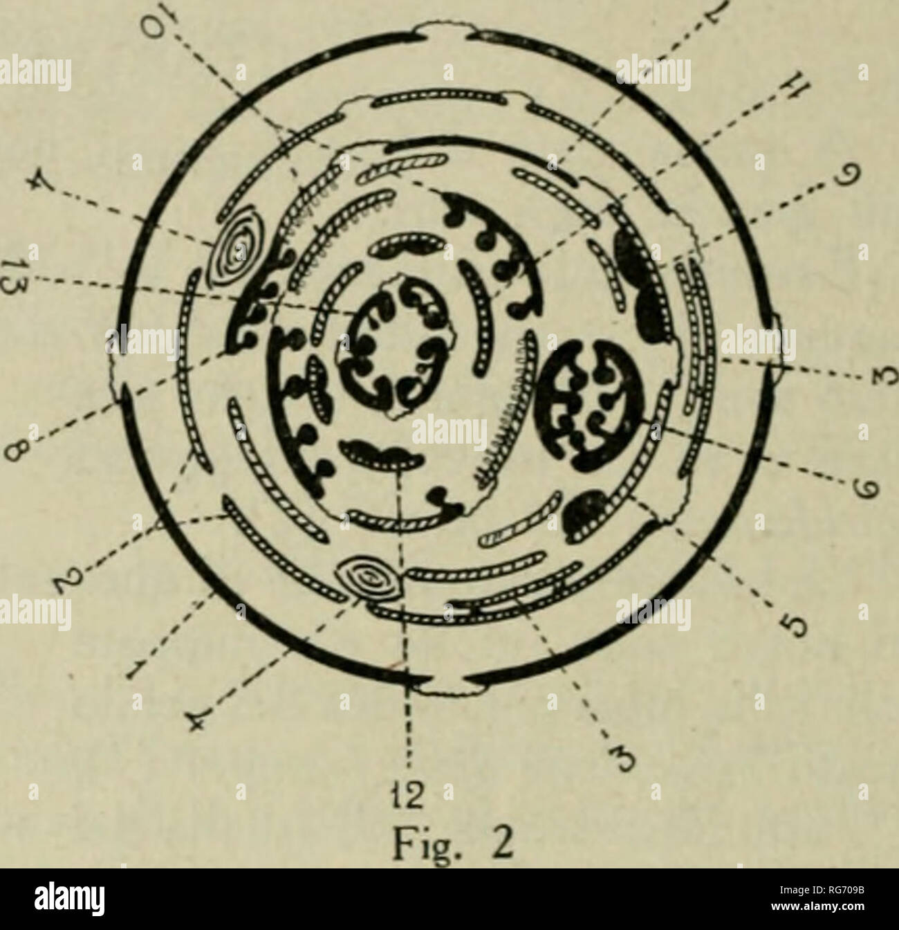 Caso curioso hi-res stock photography and images - Alamy