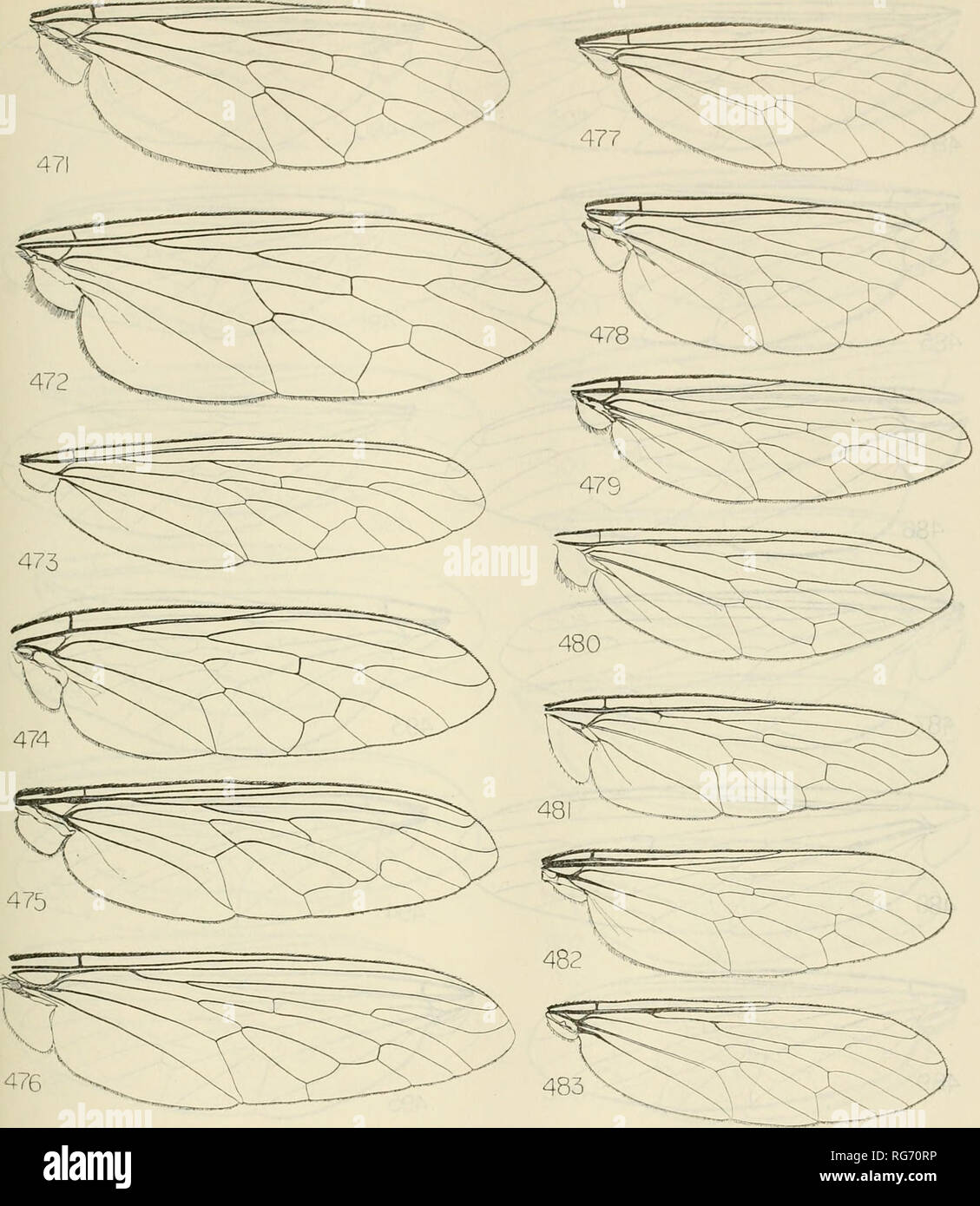 Carrera global hi-res stock photography and images - Alamy