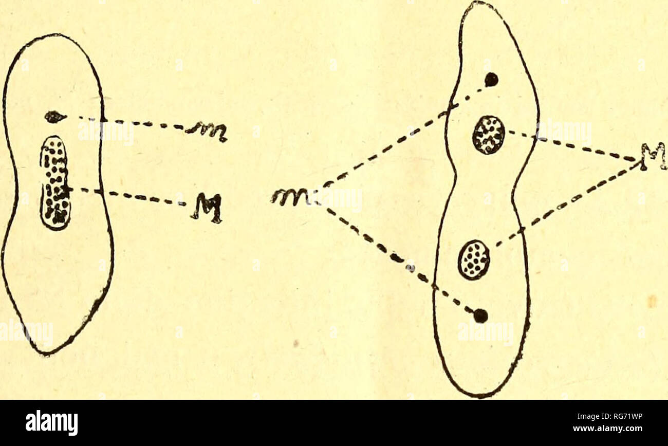 Il fuso hi-res stock photography and images - Alamy