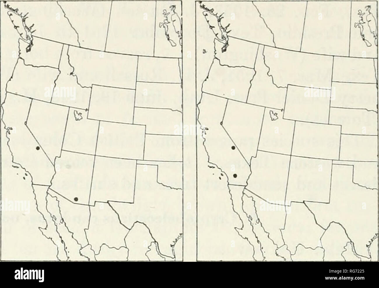 U o ornatus hi-res stock photography and images - Alamy