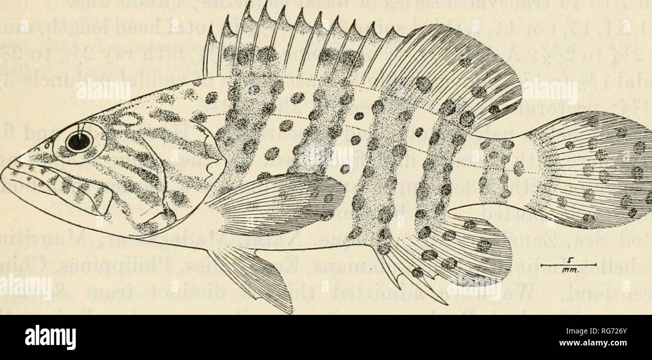 Shihpan hi-res stock photography and images - Alamy