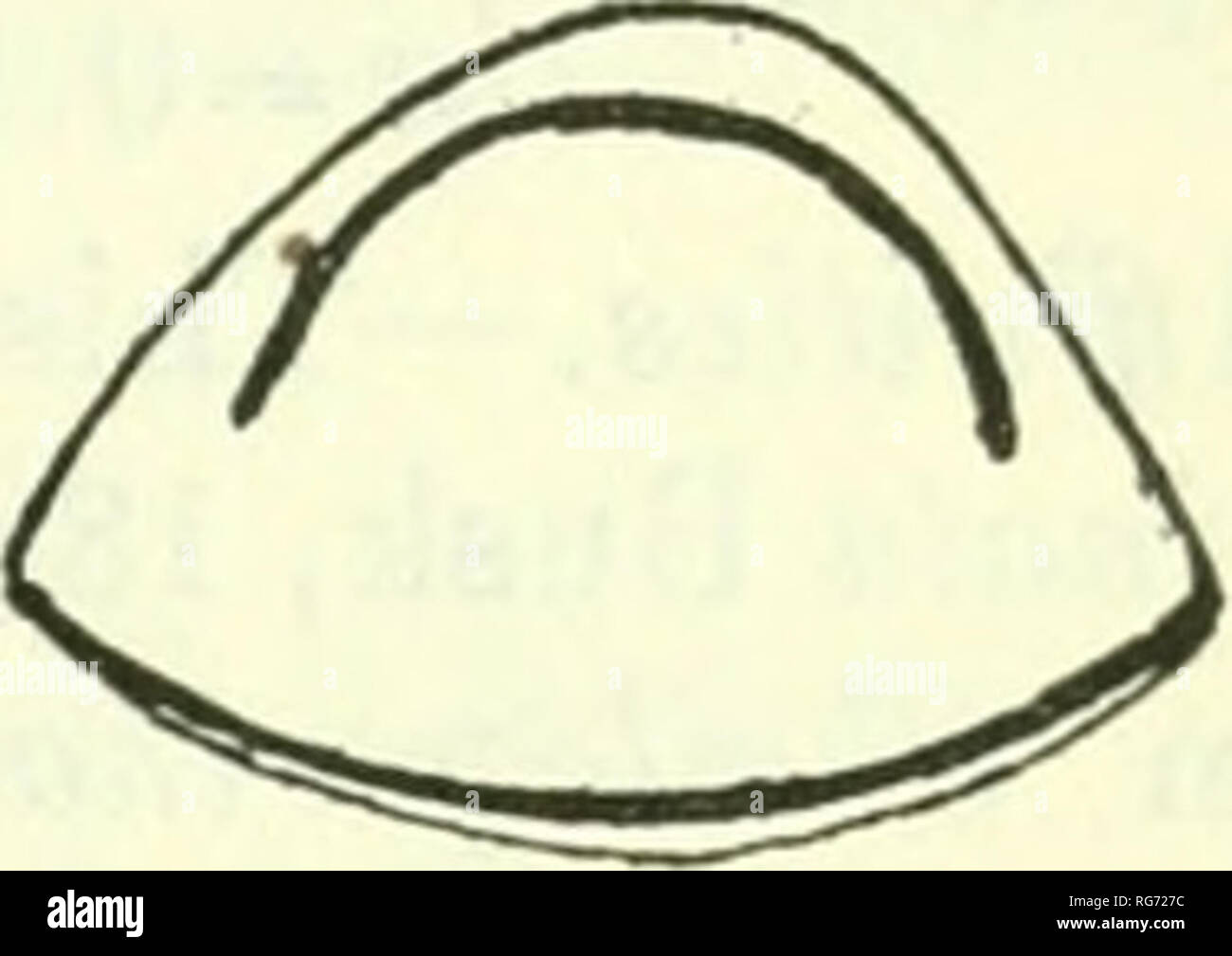 . Bulletin - United States National Museum. Science. D E Fig. 146 ...