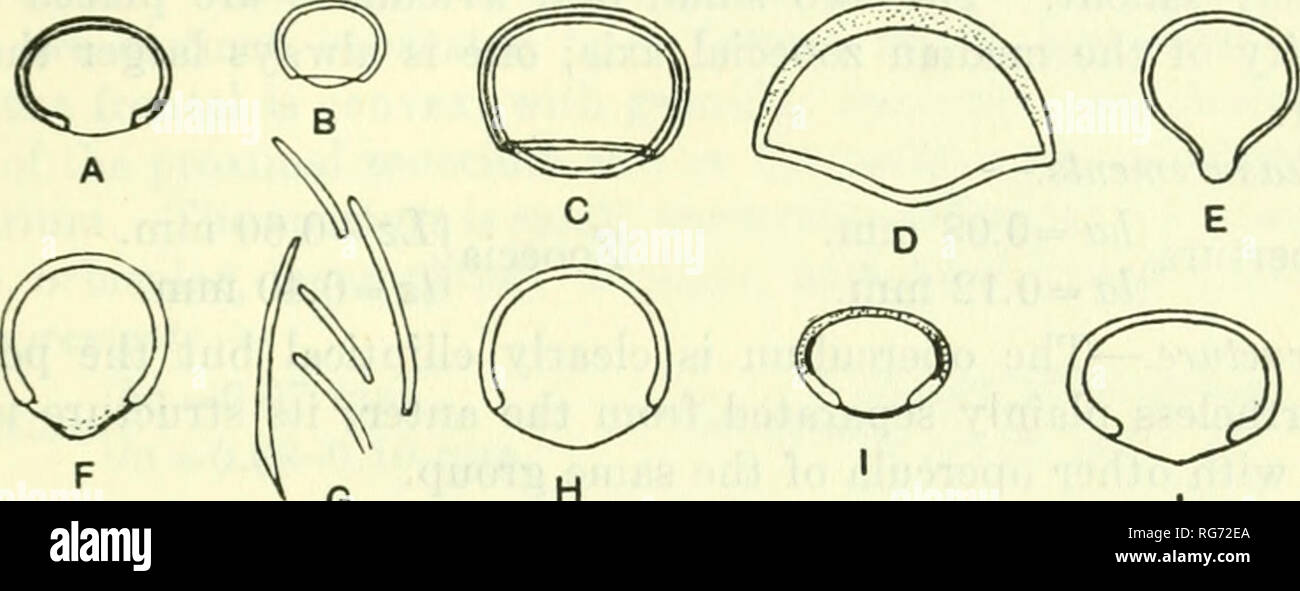 . Bulletin - United States National Museum. Science. BRYOZOA OF THE ...
