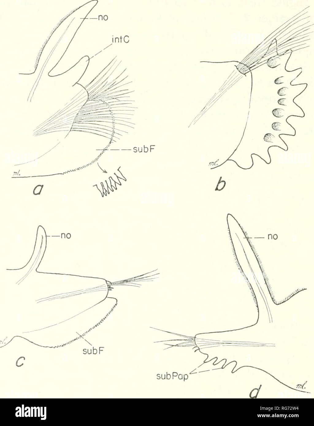 Gulf of slides hi-res stock photography and images - Alamy
