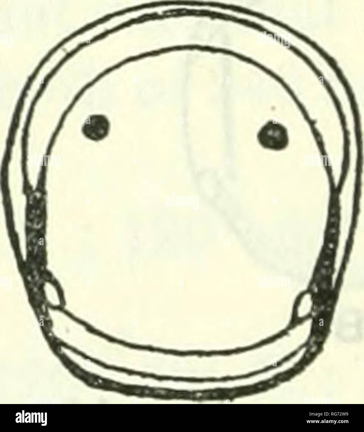 . Bulletin - United States National Museum. Science. D E F Fig. 111 ...