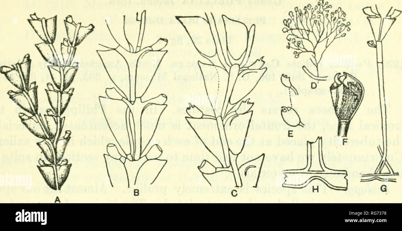 Opening and closing arrangement hi-res stock photography and images - Alamy