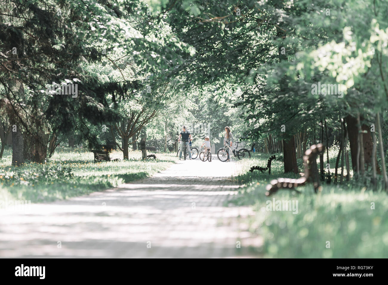 road of the city Park on a summer day Stock Photo - Alamy