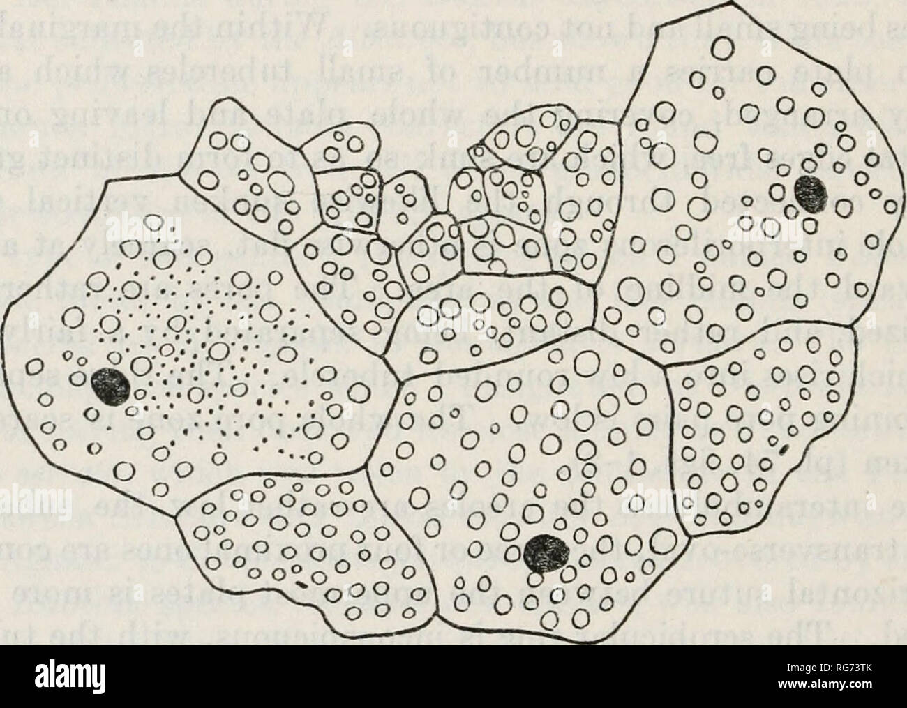 Proct hi-res stock photography and images - Alamy