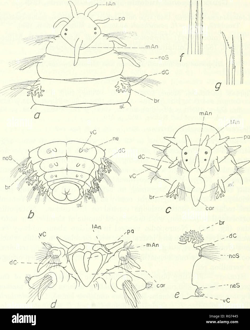 . Bulletin - United States National Museum. Science. 58 U.S. NATIONAL ...