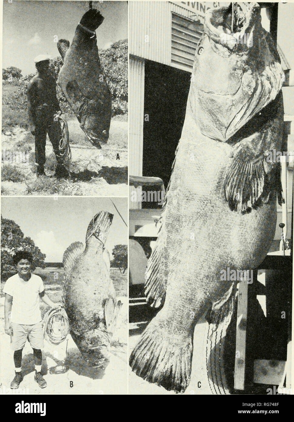 Eniwetok atoll hi-res stock photography and images - Alamy