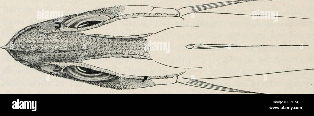 . Bulletin - United States National Museum. Science. 510 BULLETIN 100 ...
