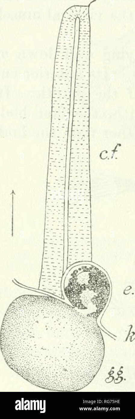 . Bulletin - United States National Museum. Science. 98 BULLETIN 100 ...