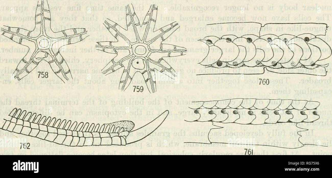 . Bulletin - United States National Museum. Science. MOXOGRAPH OF THE ...