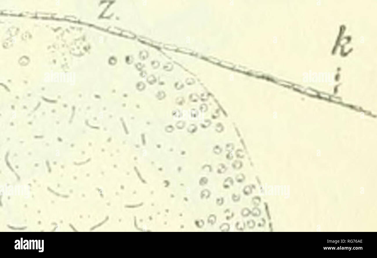 . Bulletin - United States National Museum. Science. ty CM.. K ...