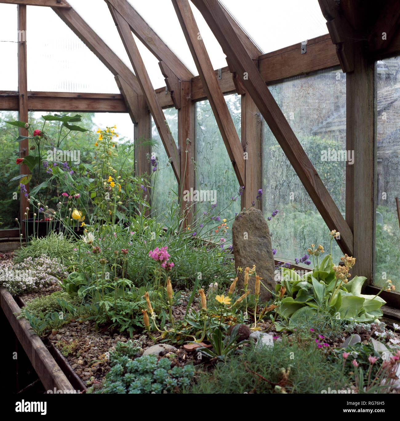Alpines in raised bed hi-res stock photography and images - Alamy