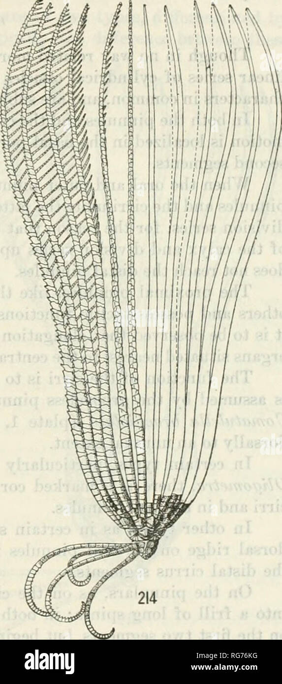 . Bulletin - United States National Museum. Science. MONOGRAPH OF THE ...