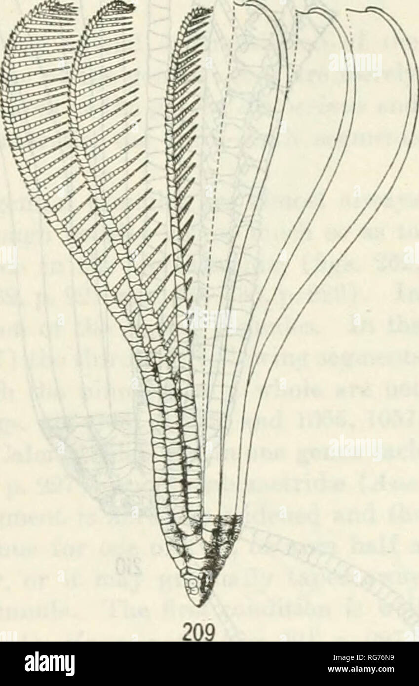 . Bulletin - United States National Museum. Science. MONOGRAPH OF THE ...