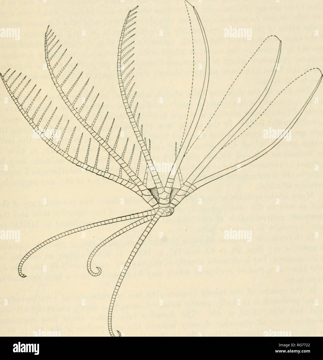 . Bulletin - United States National Museum. Science. MONOGRAPH OF THE ...