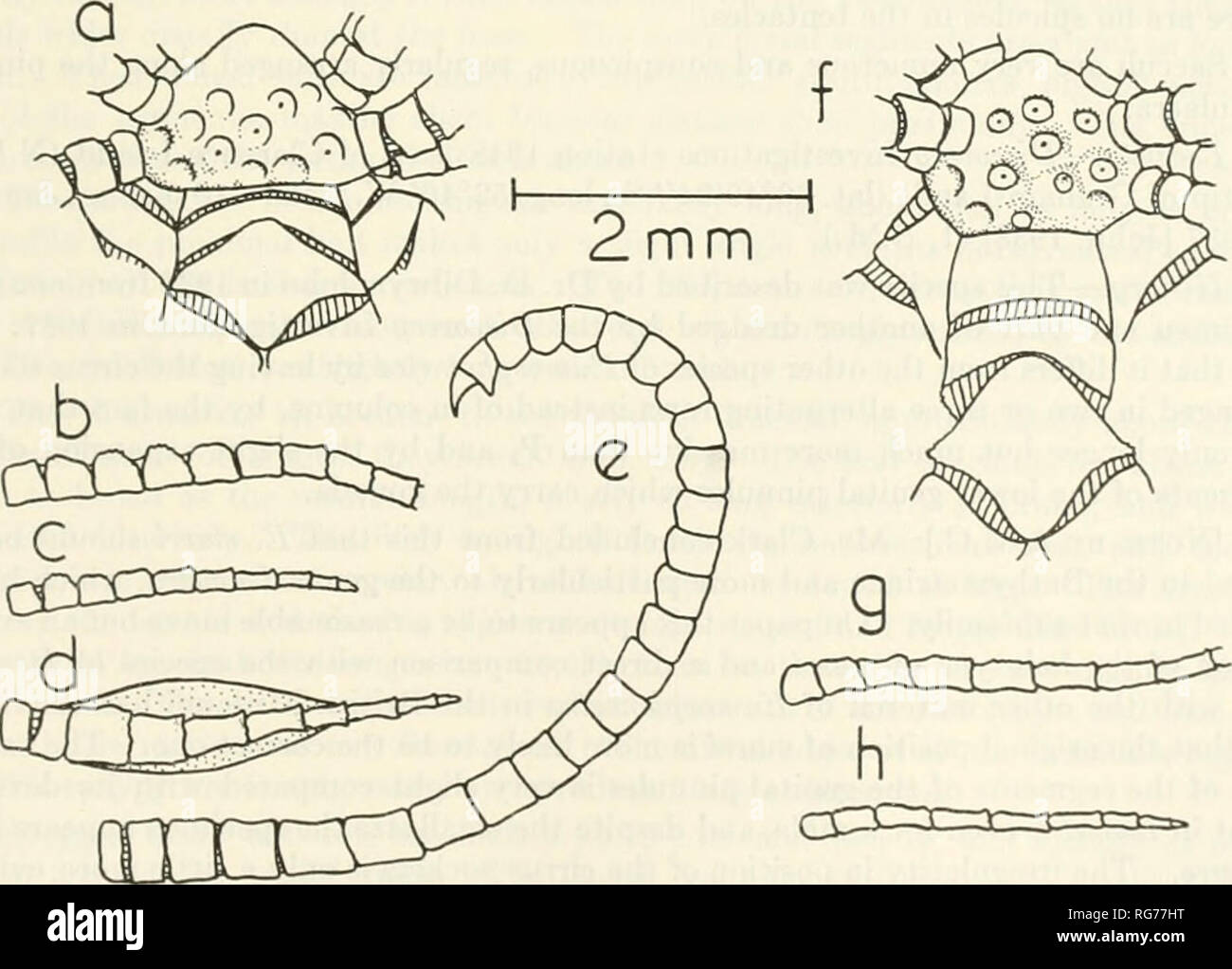 . Bulletin - United States National Museum. Science. A MONOGRAPH OF THE ...