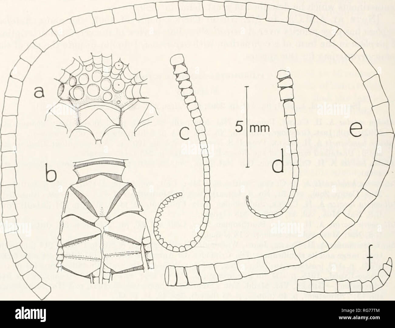 Syzygy occurs hi-res stock photography and images - Alamy Syzygy occurs hi-res stock photography and images - Alamy