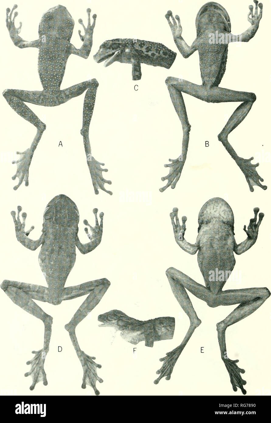 Orcesi hi-res stock photography and images - Alamy