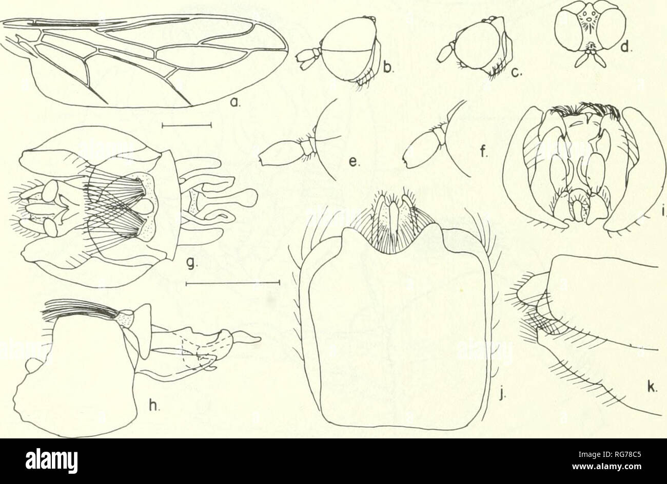 . Bulletin - United States National Museum. Science. 264 U.S. NATIONAL ...