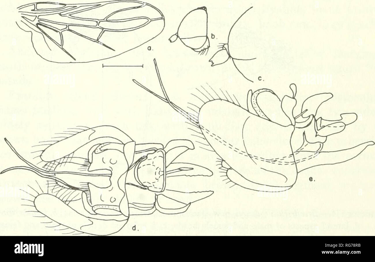 Oracle junction hi-res stock photography and images - Alamy