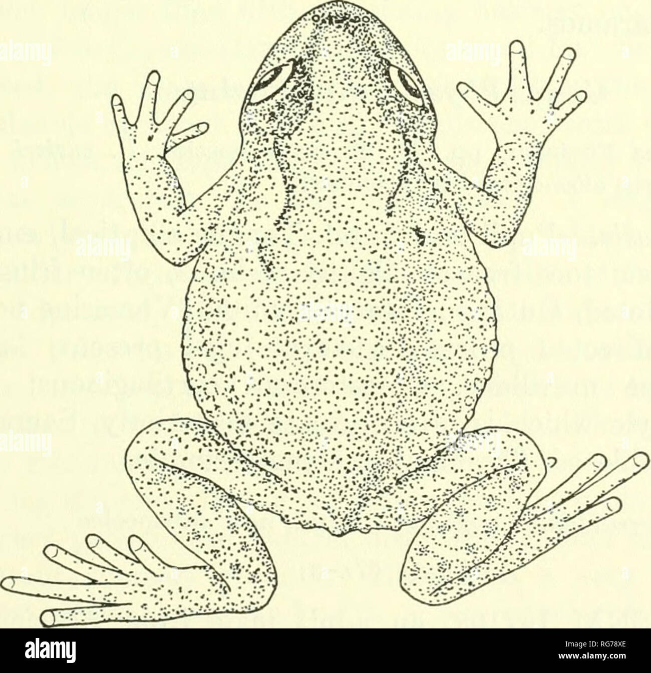 . Bulletin - United States National Museum. Science. FROGS OF COLOMBIA ...