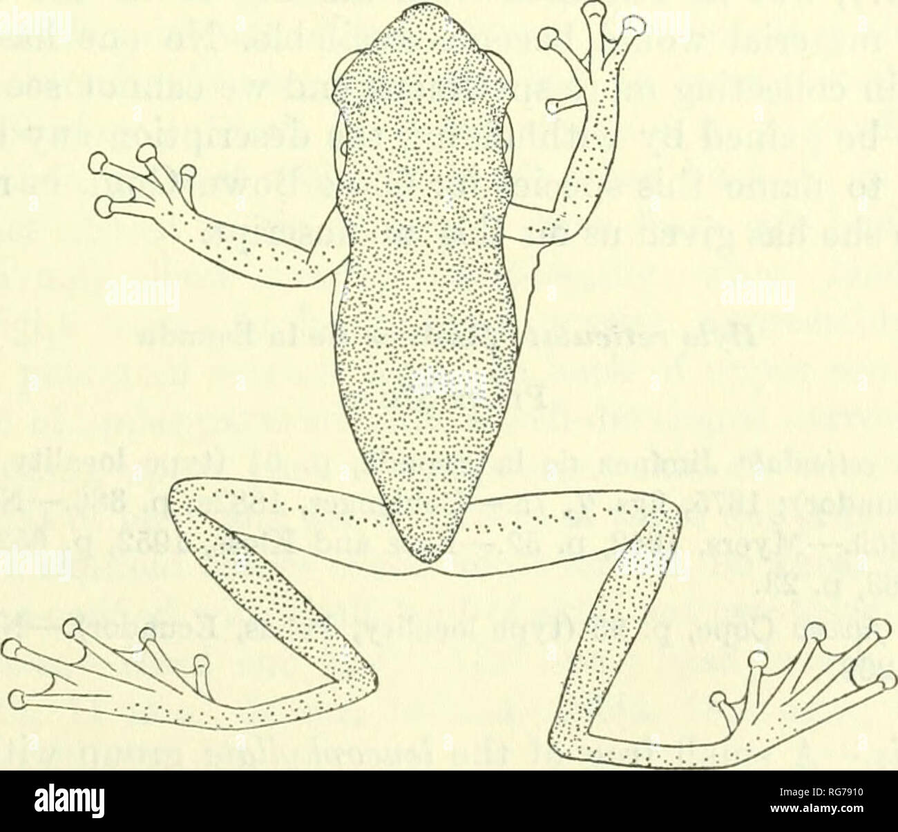 . Bulletin - United States National Museum. Science. FROGS OF COLOMBIA ...