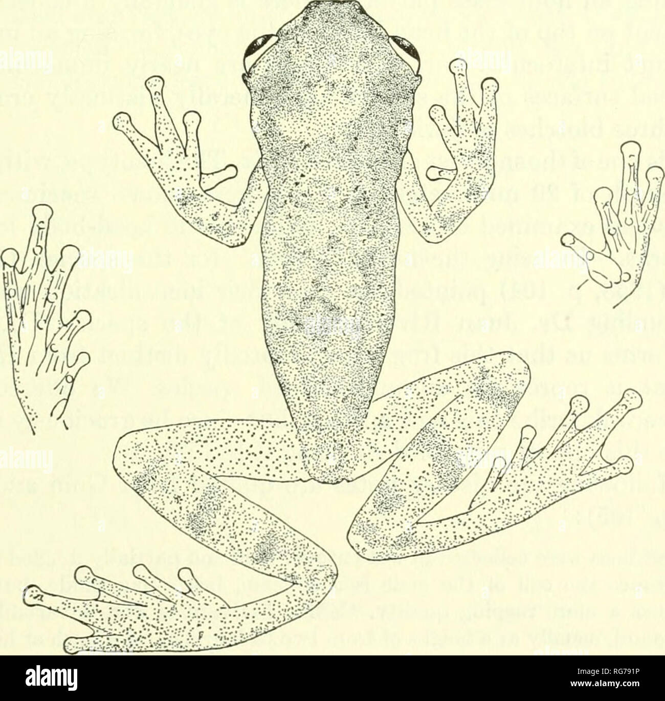 Elbow ridge hi-res stock photography and images - Alamy