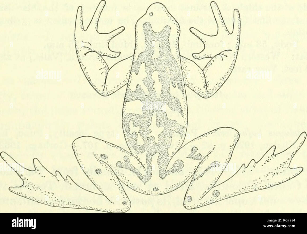 . Bulletin - United States National Museum. Science. FROGS OF COLOMBIA ...